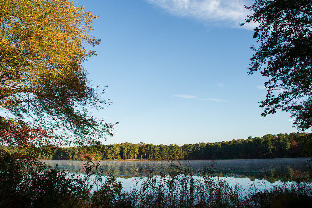 Analysis of Lake Fred Through Calculus Methods and Data Visualization ...